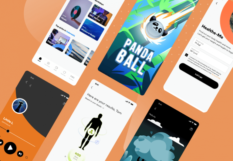 Lasting Dynamics - Custom software development