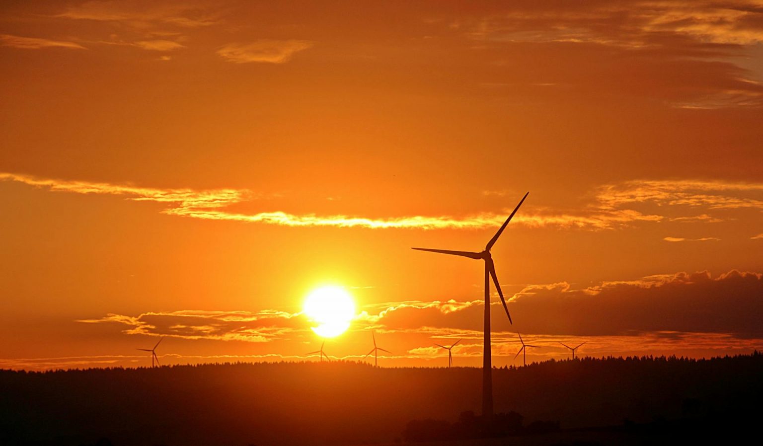 Green Software Development: 5 Amazing Ways Shaping Future